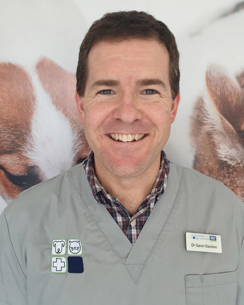 Our Team | Forrestfield & High Wycombe Vet Hospitals